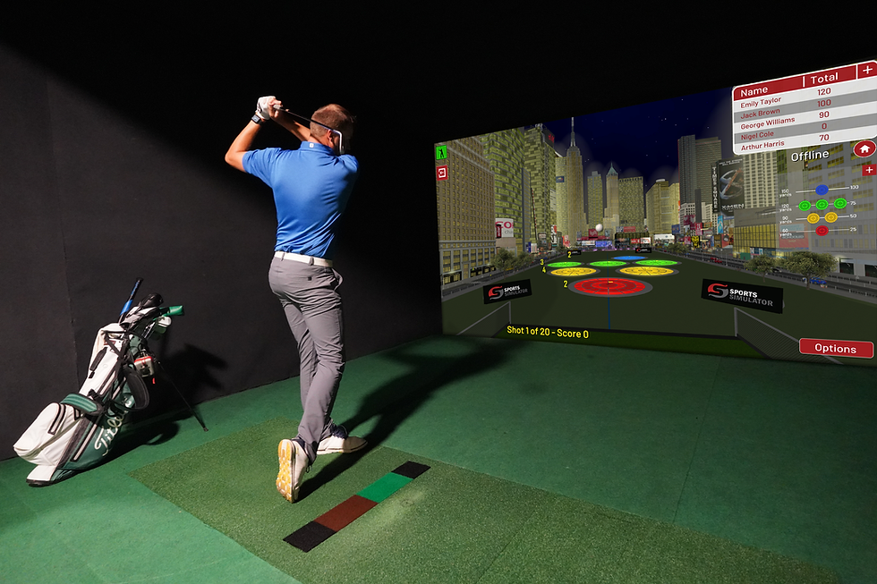 Disc Golf Sports Simulator Disc Golf Sports Simulator